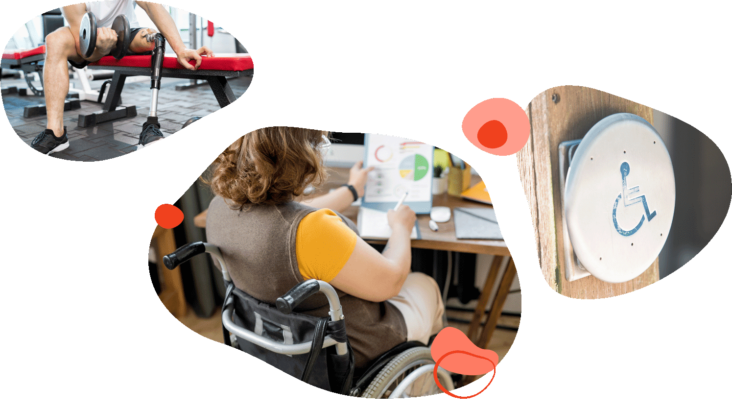 Total & Permanent Disability Insurance - Moneybox